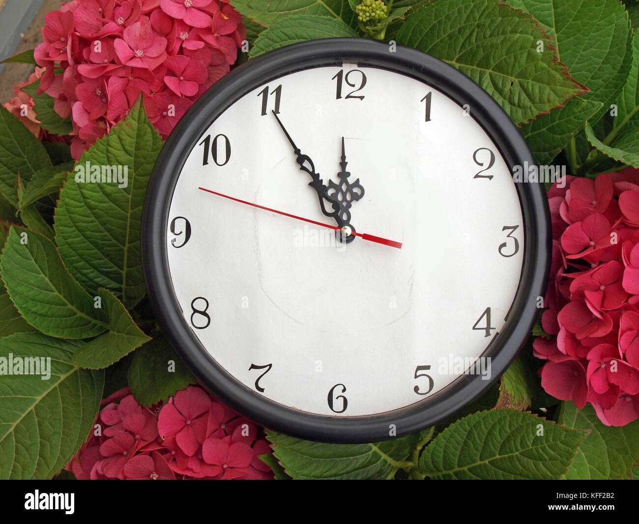 Clock show time five minutes until something Stock Photo - Alamy