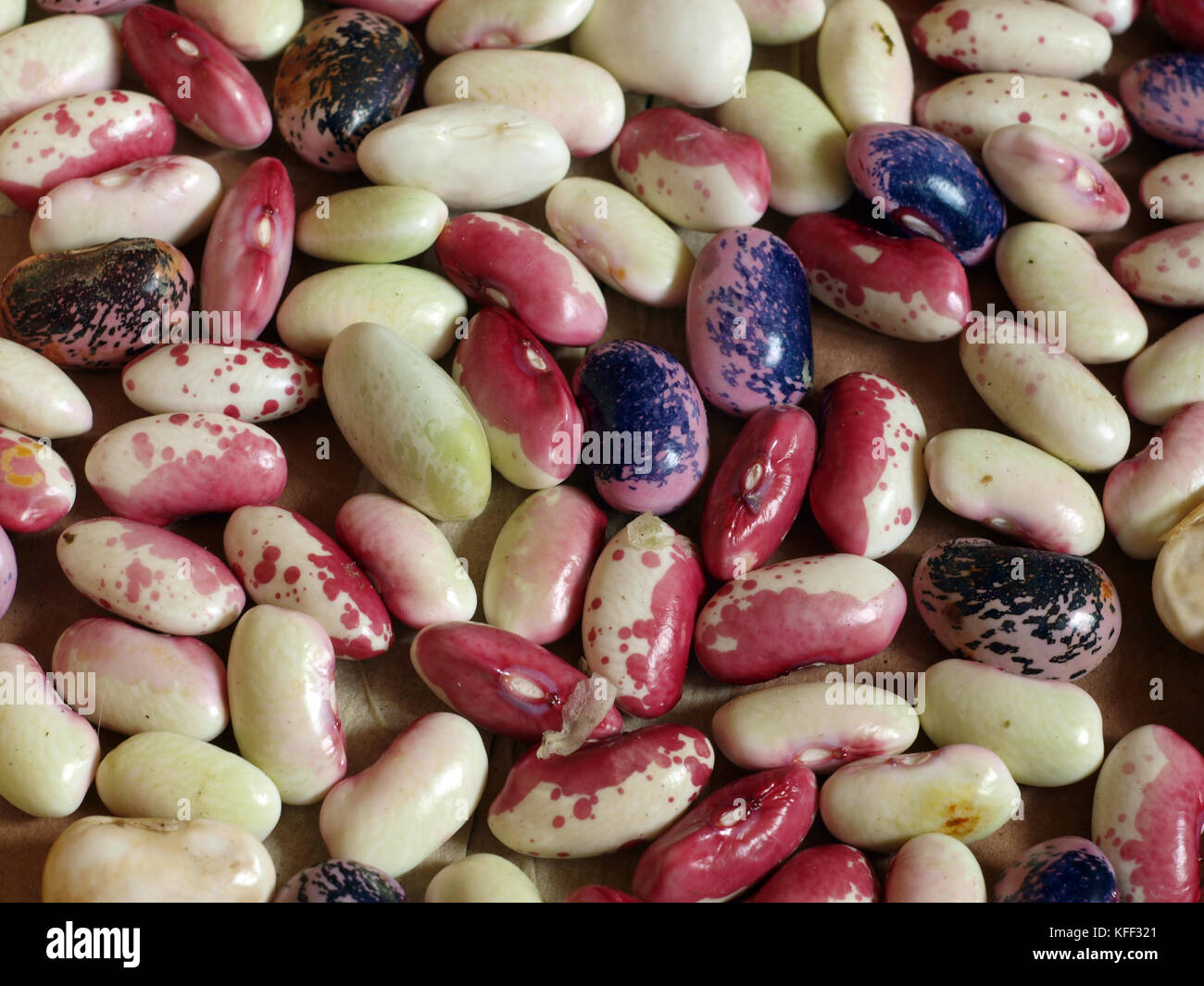 Close up view colorful beans hi-res stock photography and images - Alamy