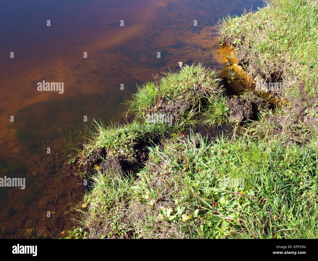 Soil slide on pond coast after rain Stock Photo - Alamy