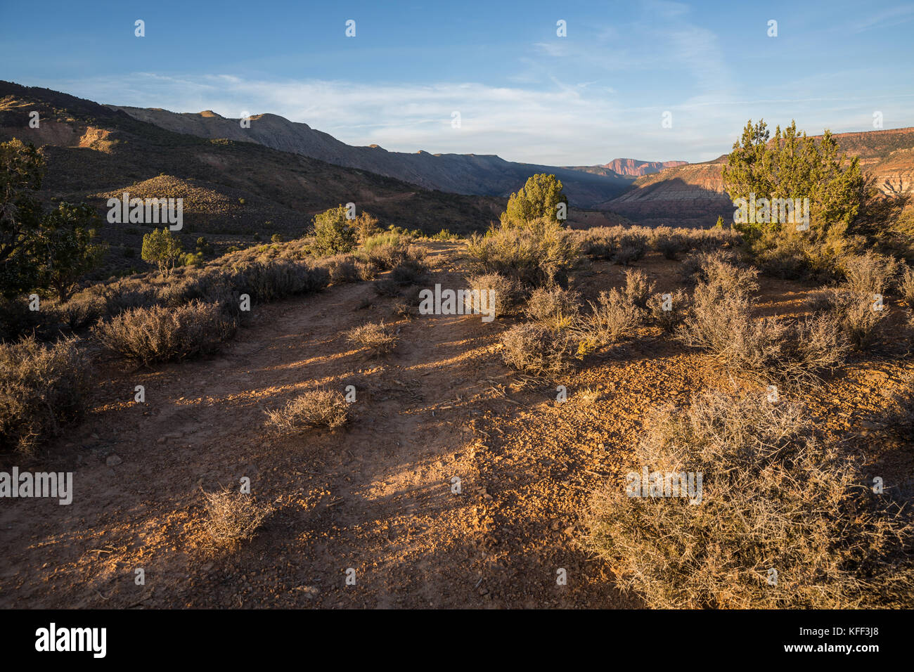 A narrow ATV trail cuts through sage and juniper trees in Southern Utah ...