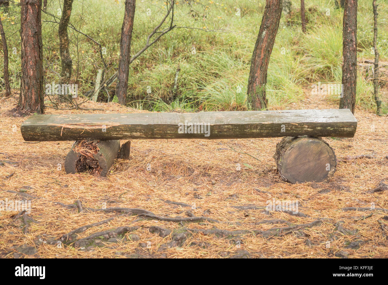 Wooden bench on the hiking trail Stock Photo - Alamy