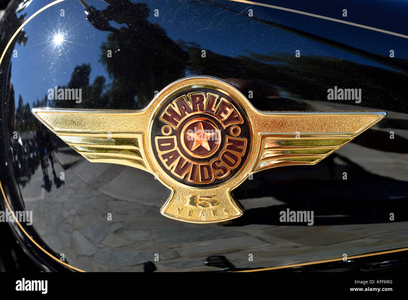 Harley Harley_davidson Stock Photos & Harley Harley_davidson Stock ...