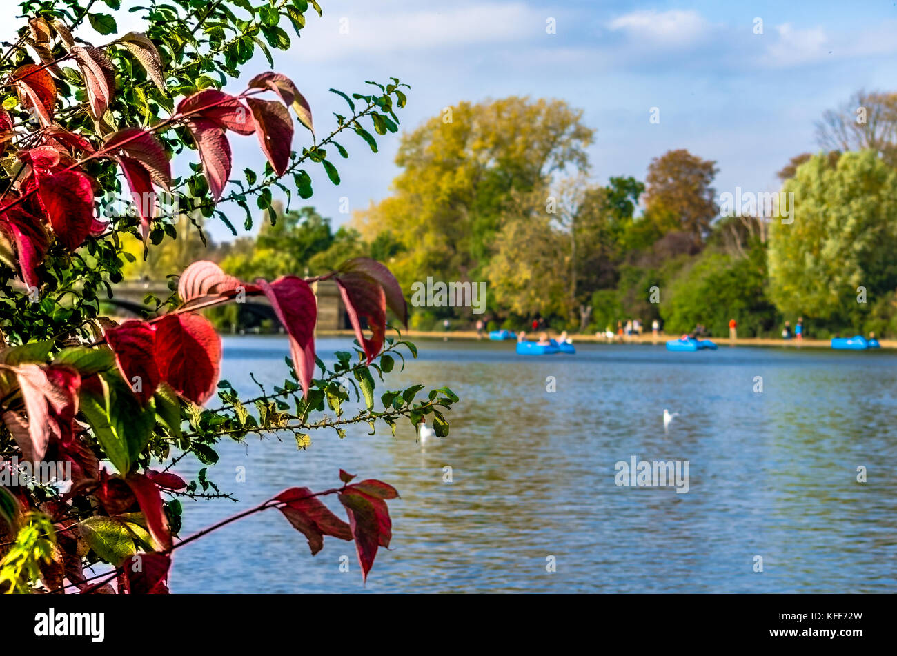 Autumn leaves in the park by a lake Stock Photo - Alamy