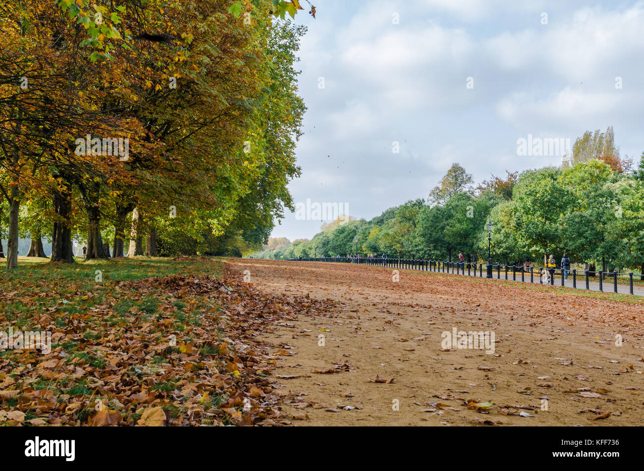 Bridle path at Hyde Park in autumn, London Stock Photo - Alamy