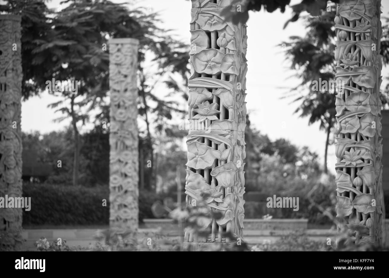 Green pillars of trees hi-res stock photography and images - Alamy