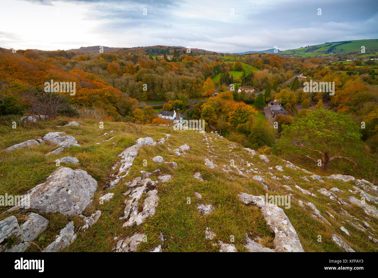 Elevated view over the Loggerheads Country Park from the top of the ...