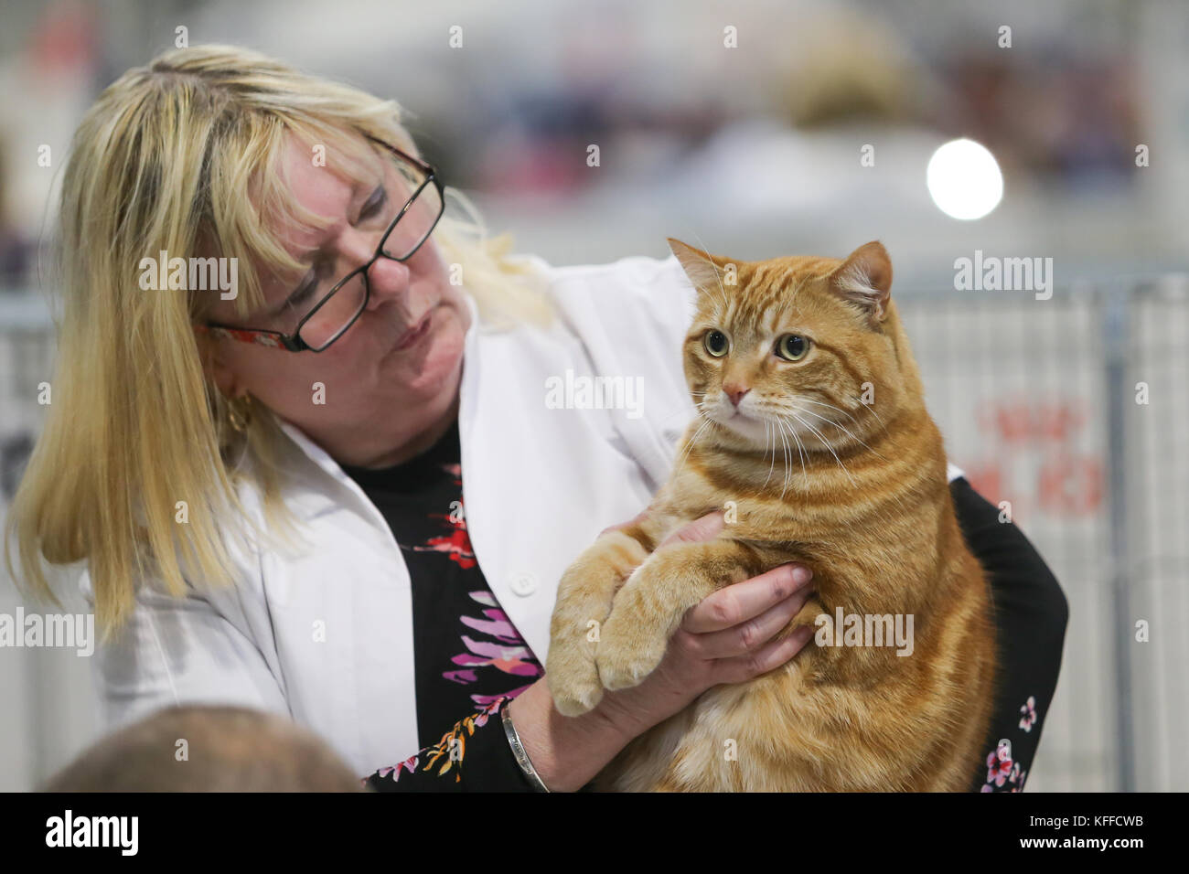 Birmingham, UK. 28th October 2017. Cats and their owners descend on the ...