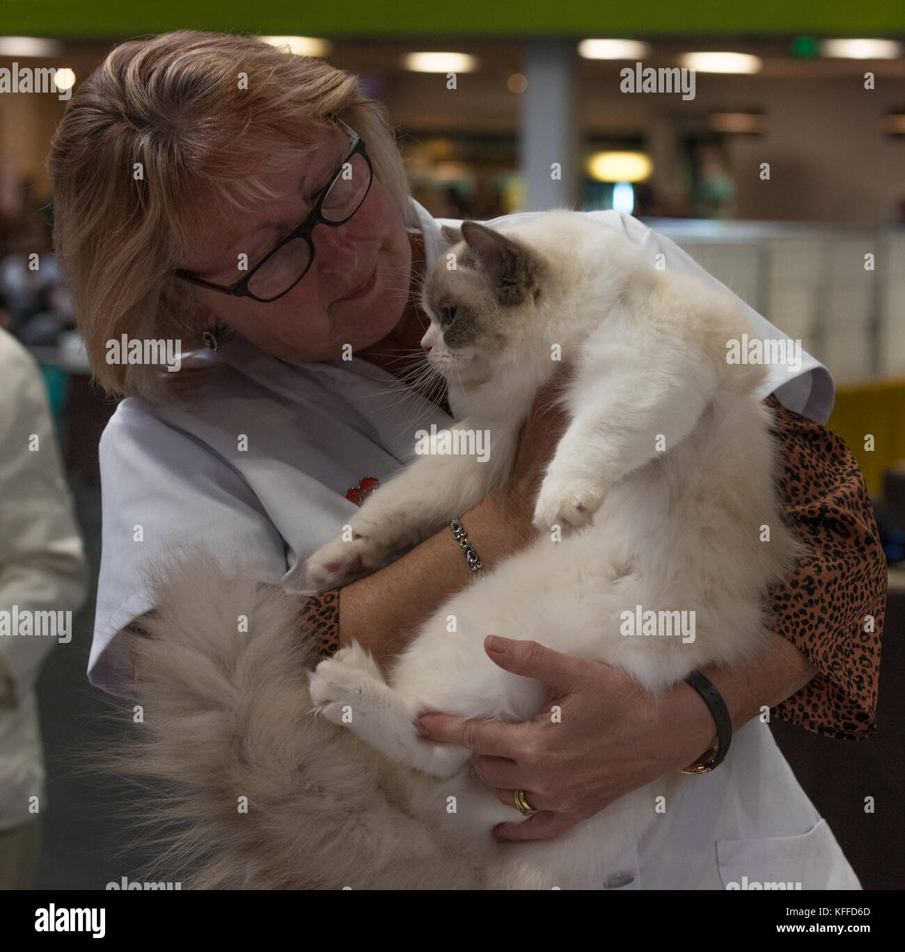 Gccf hi-res stock photography and images - Alamy