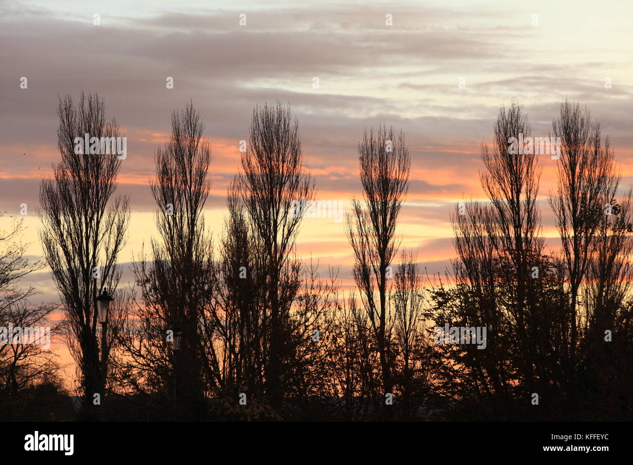 Paul lawrenson hi-res stock photography and images - Alamy