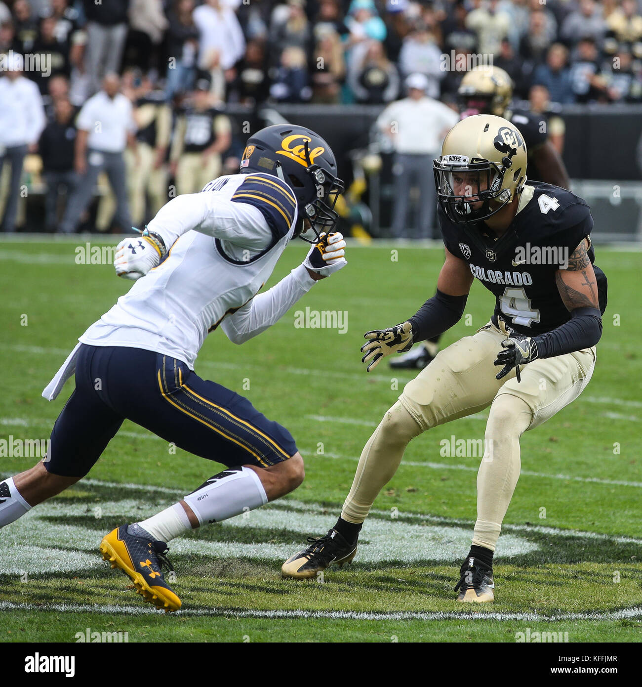 Wigley Stock Photos & Wigley Stock Images - Alamy