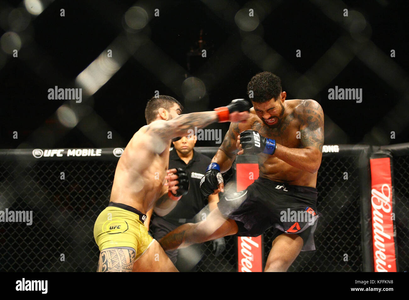 SÃO PAULO, SP - 28.10.2017: UFC FIGHT NIGHT - Fight between Griffin ...