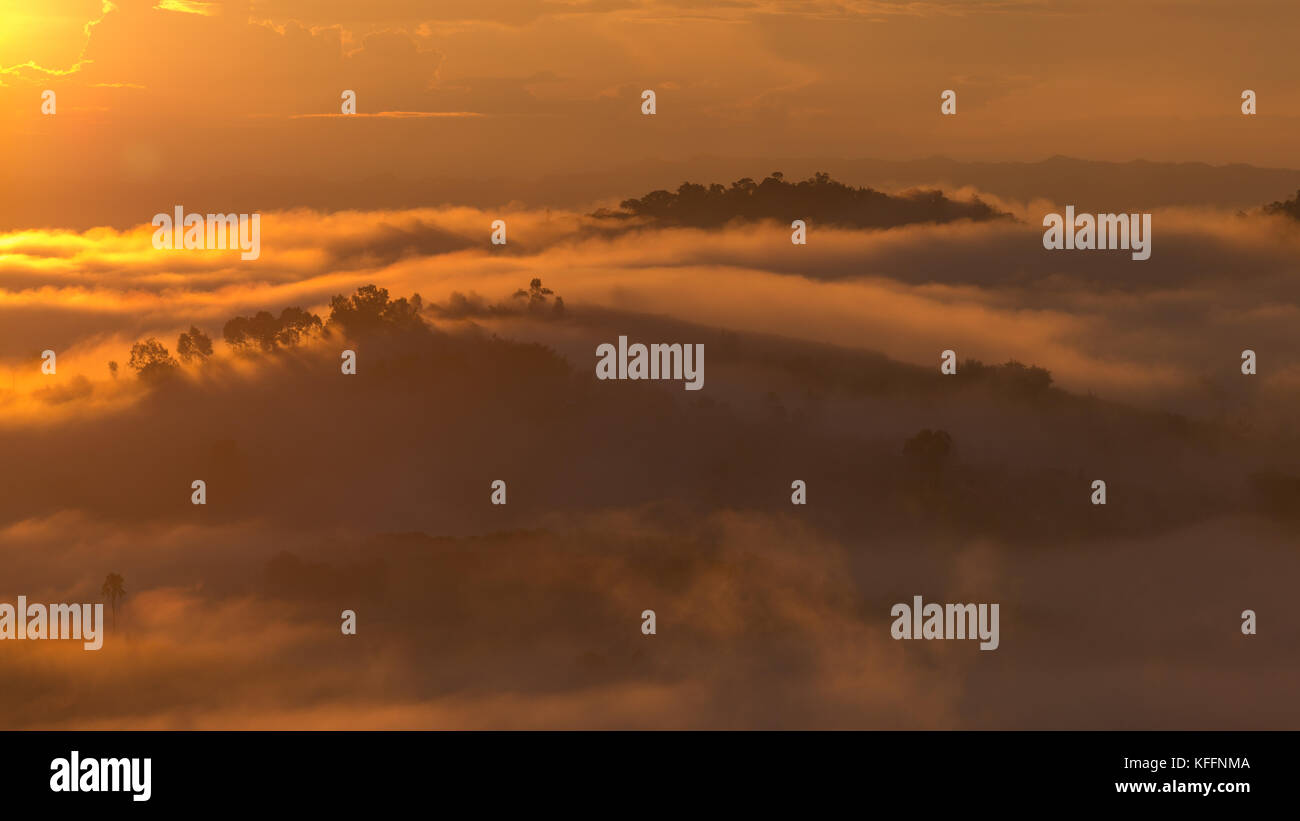 Foggy sun hi-res stock photography and images - Alamy