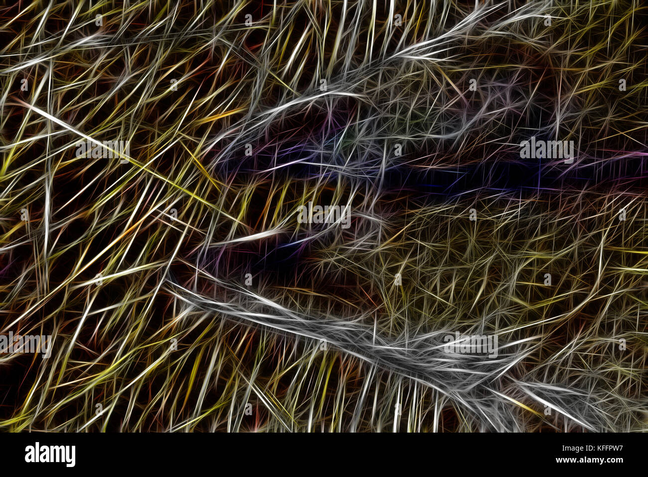 Pseudo drawing hi-res stock photography and images - Alamy