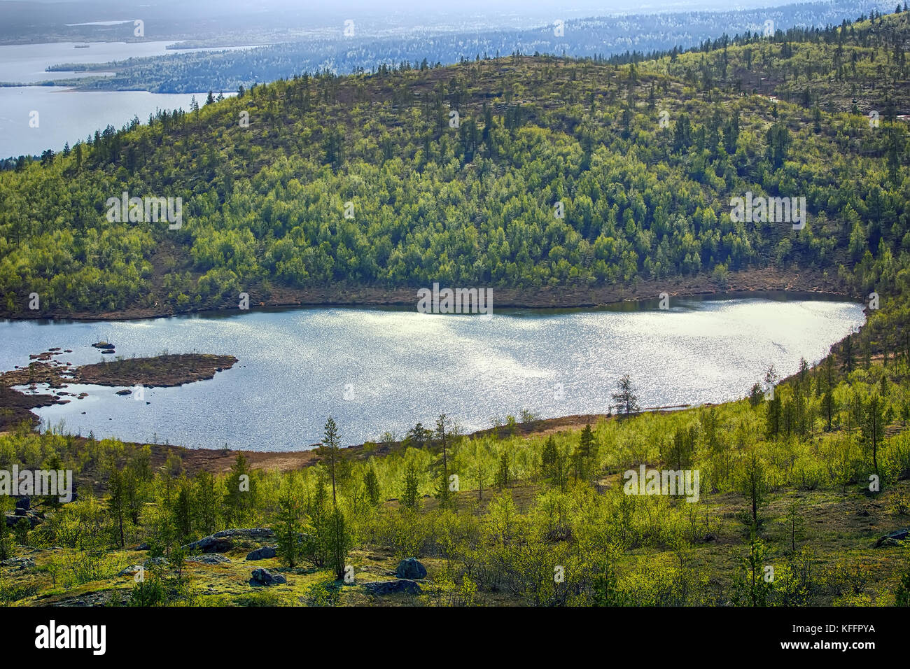 From top of plateau overlooking valley among pine forests. Panorama ...