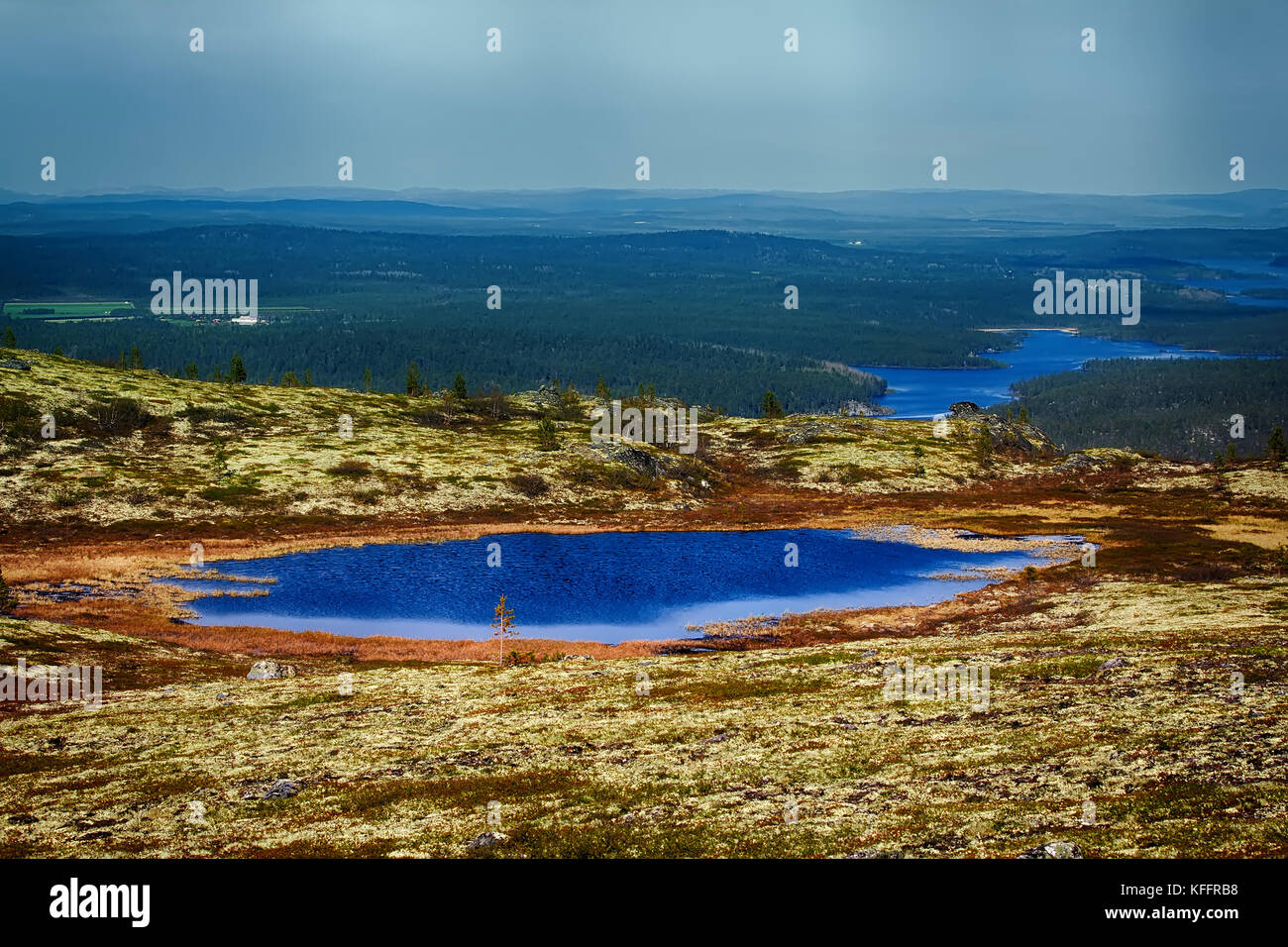 From top of plateau overlooking valley among pine forests. Panorama ...