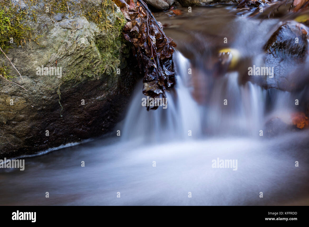 Close up of small water fall in forest Stock Photo - Alamy