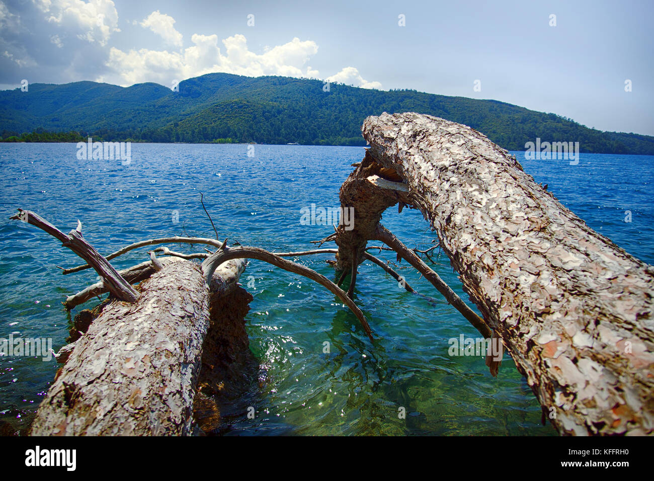 Beautiful landscape contour tree hi-res stock photography and images ...