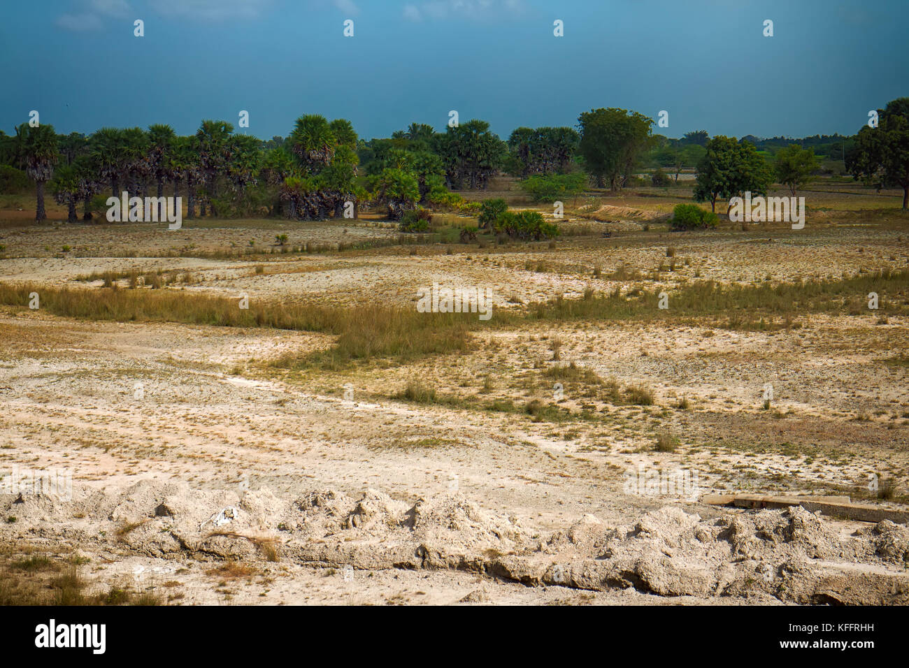 Saline sodic soils hi-res stock photography and images - Alamy