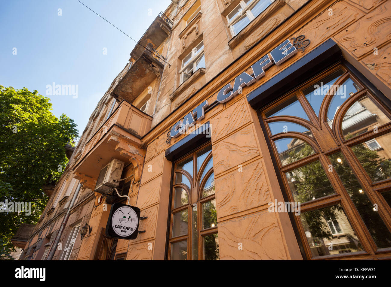 Lviv cat hi-res stock photography and images - Alamy