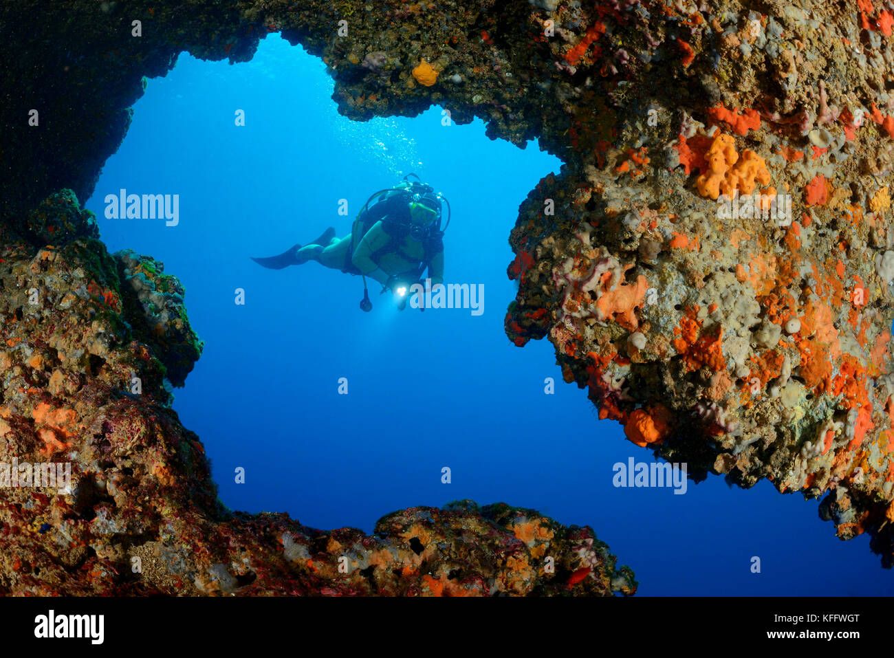 Coral reef and scuba diver in Cave, Grotto, Adriatic Sea, Mediterranean ...