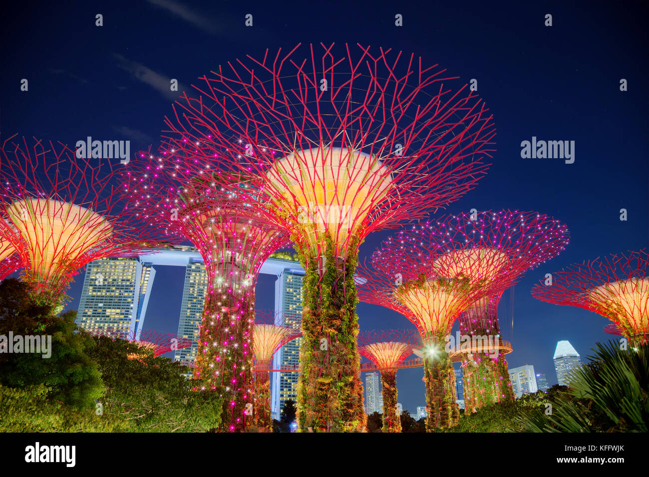 Lit super trees gardens bay hi-res stock photography and images - Alamy