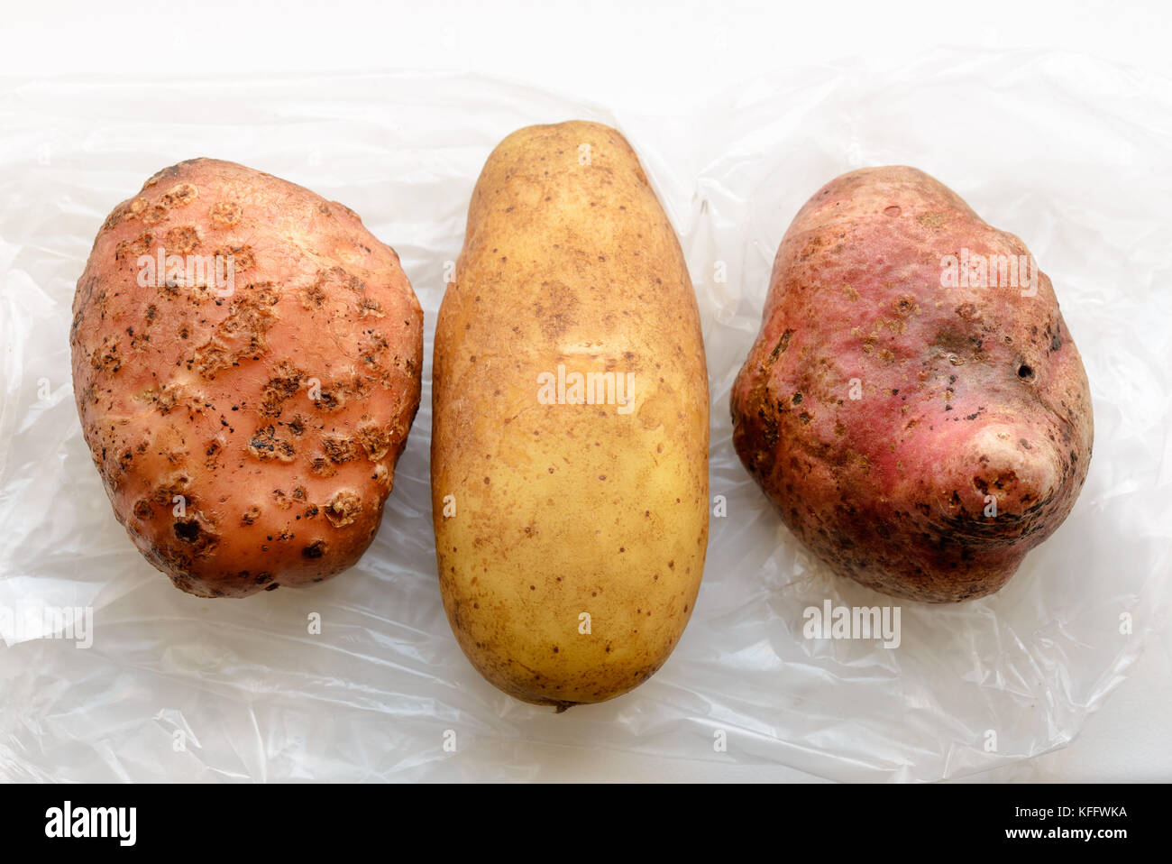 Three different kind of natural potatoes (Solanum tuberosum) on a white ...