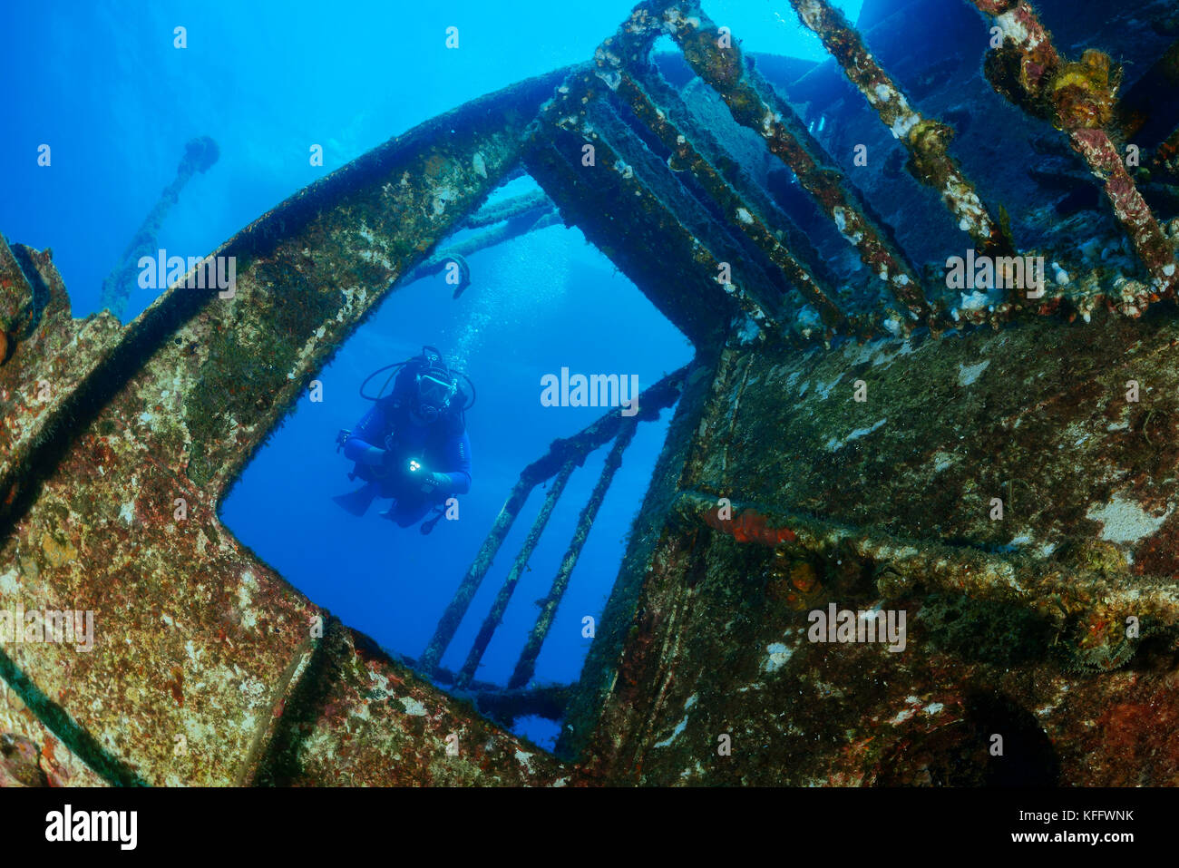 Shipwreck Ledenik, Wreck and scuba diver, Adriatic Sea, Mediterranean ...