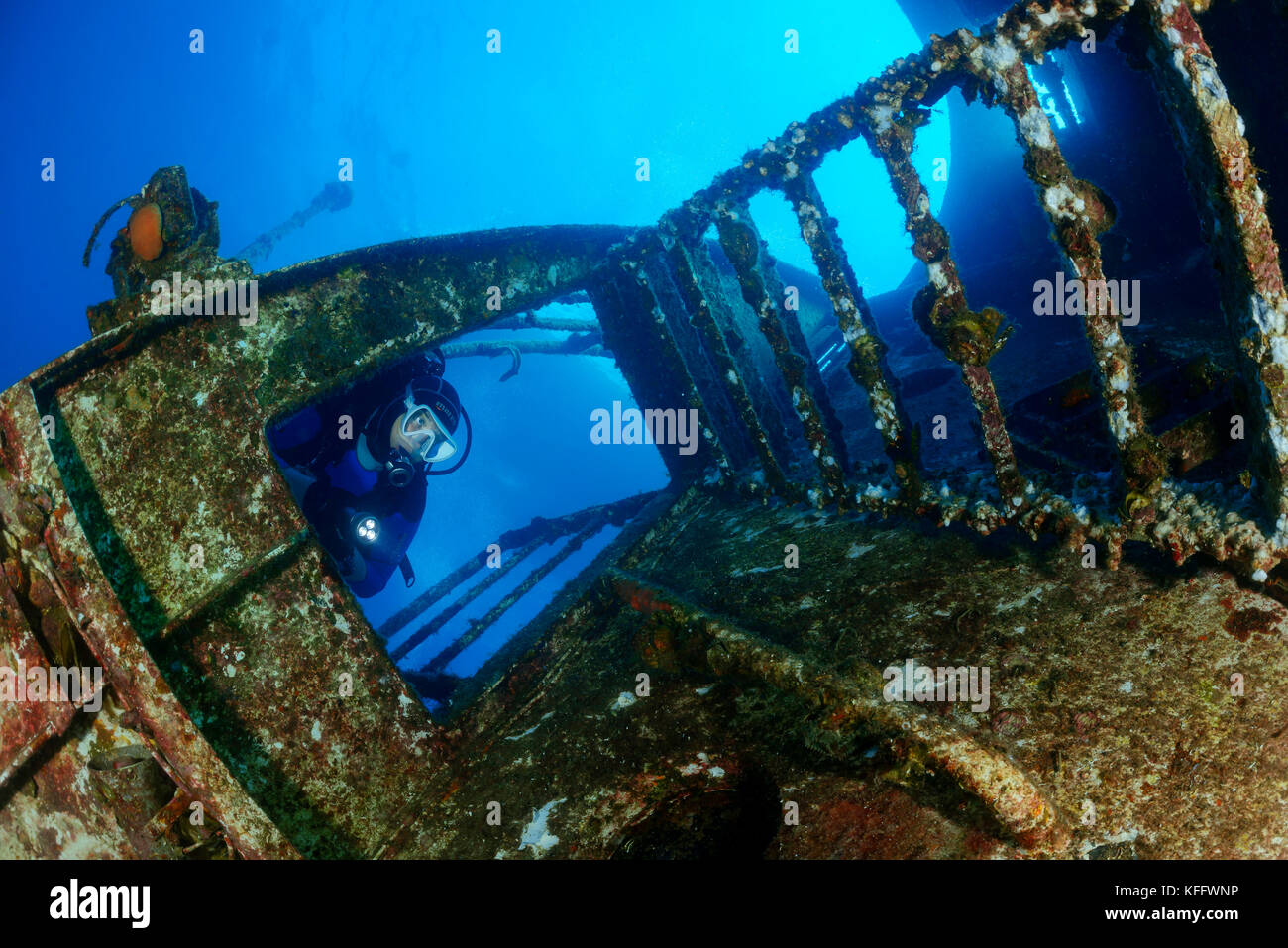 Shipwreck Ledenik, Wreck and scuba diver, Adriatic Sea, Mediterranean ...