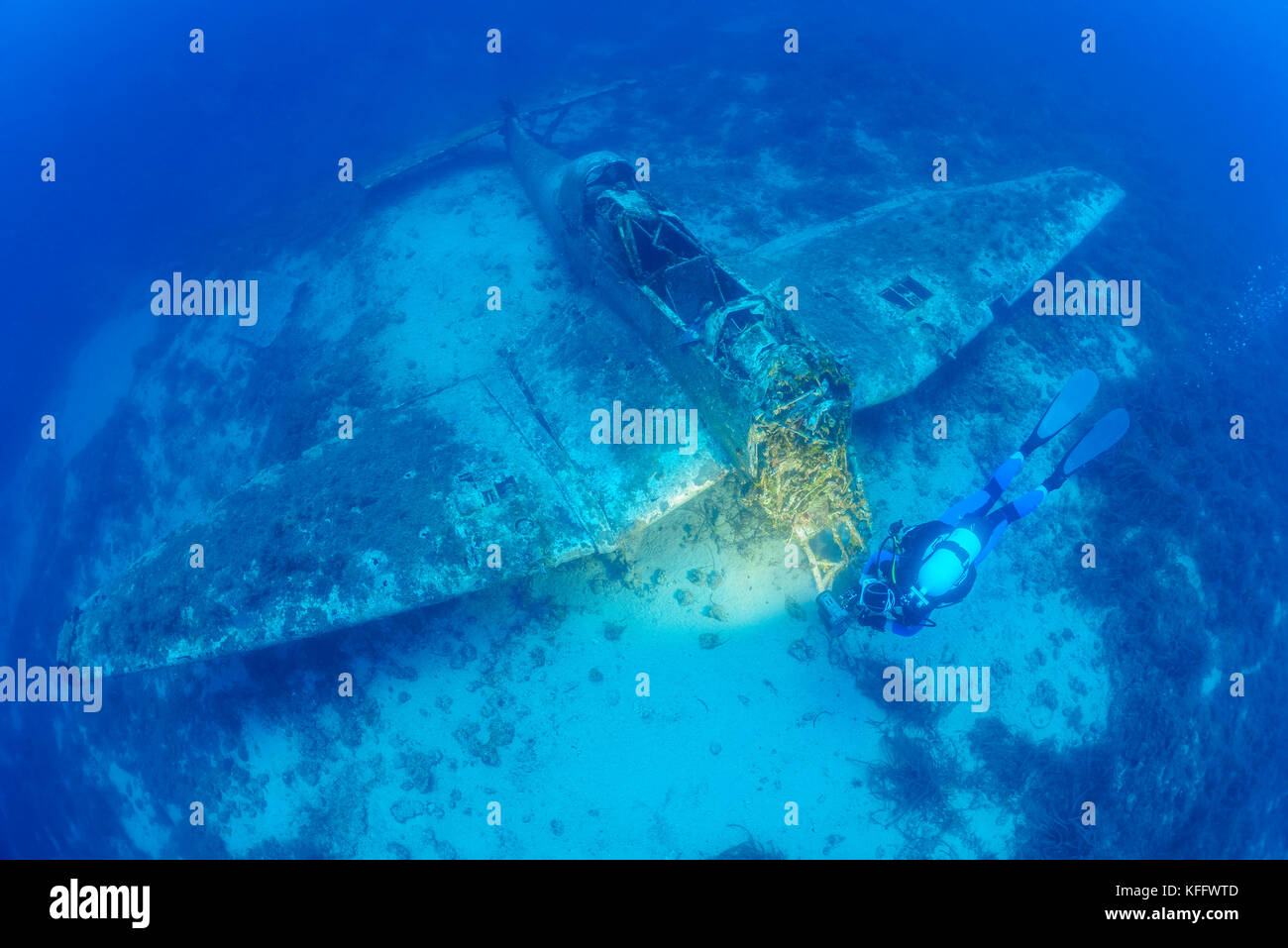 Stuka hi-res stock photography and images - Alamy