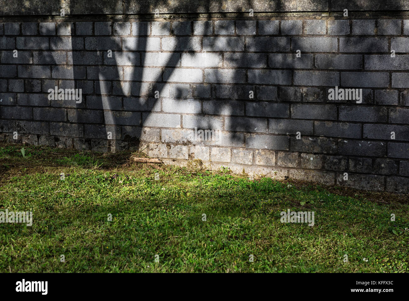 Tree Shadow On Wall High Resolution Stock Photography and Images - Alamy