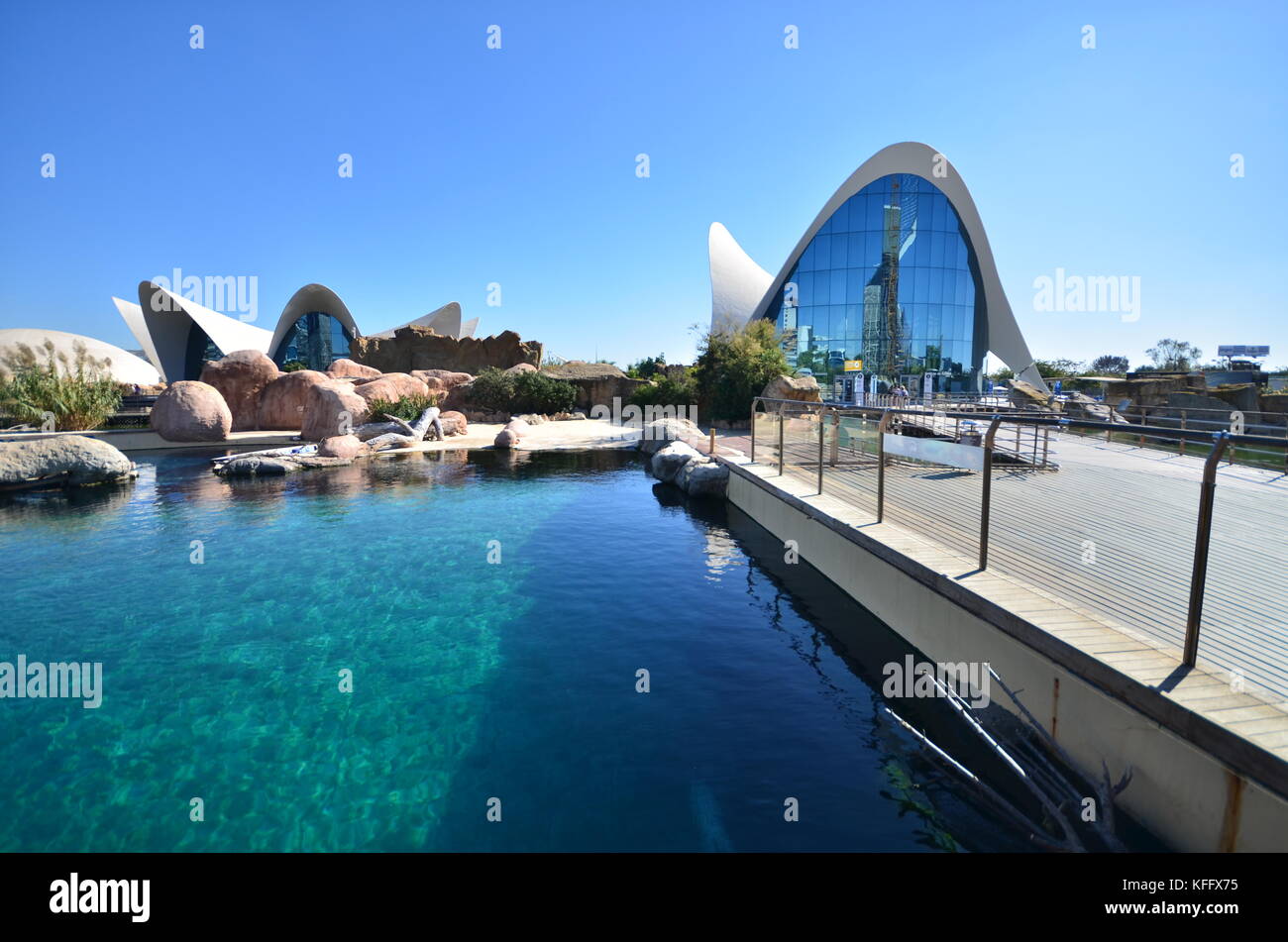 Science museum valencia hi-res stock photography and images - Alamy