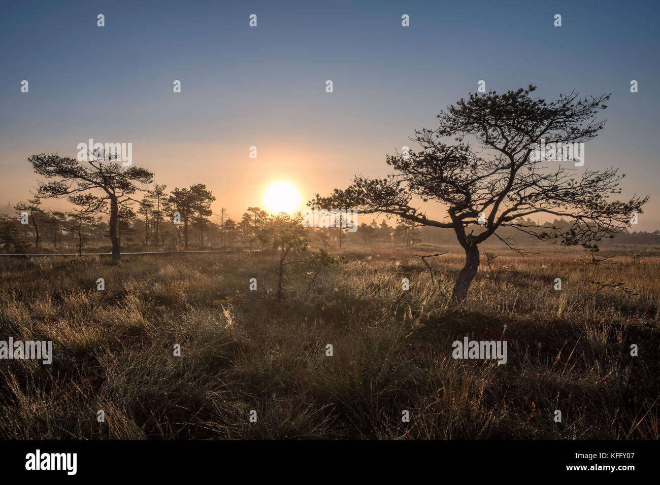 Bright scenic morning view hi-res stock photography and images - Alamy