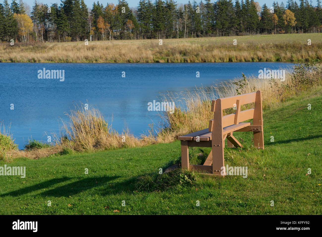 Wooden park bench with a view of a lake Stock Photo - Alamy
