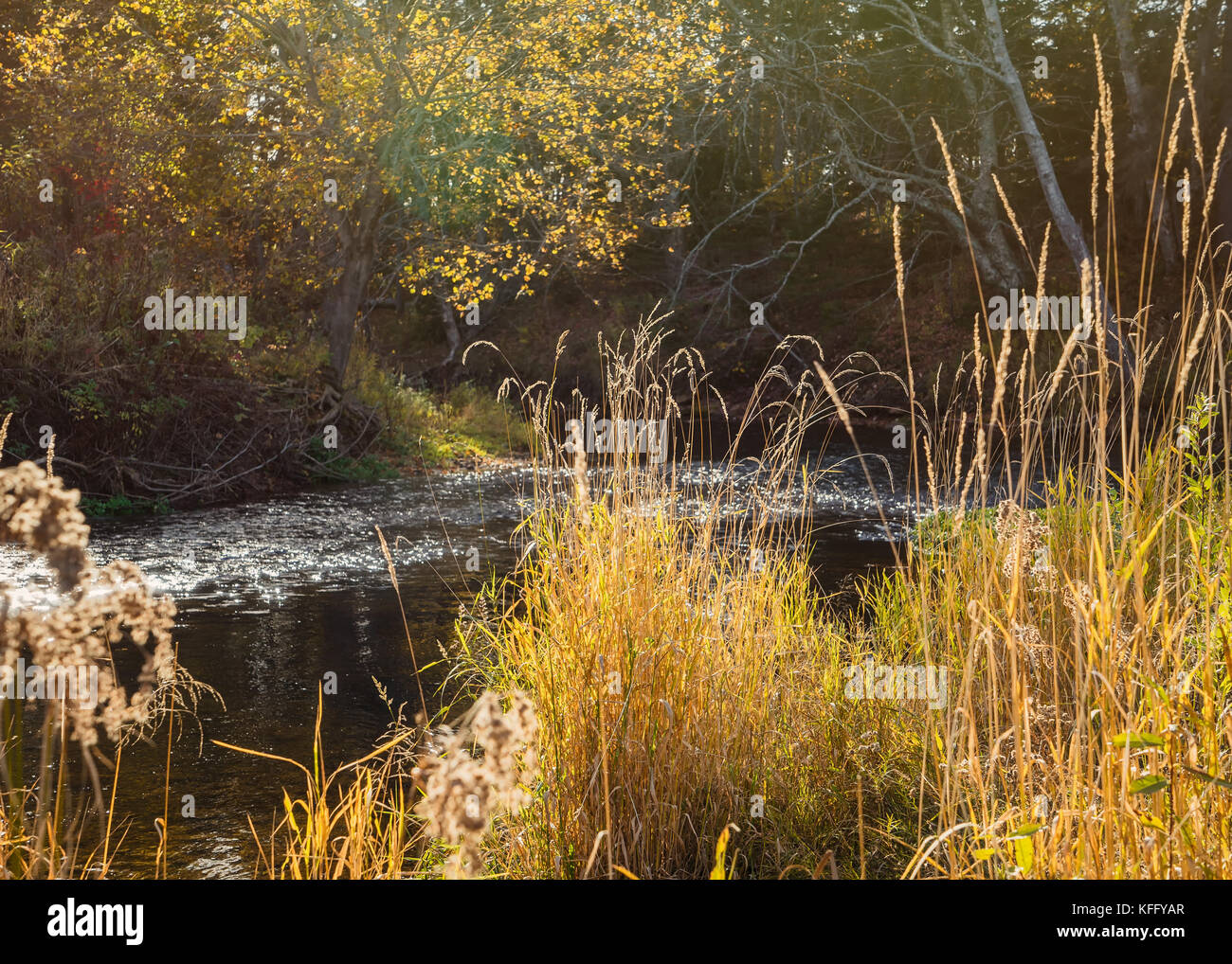 Small river in sun hi-res stock photography and images - Alamy