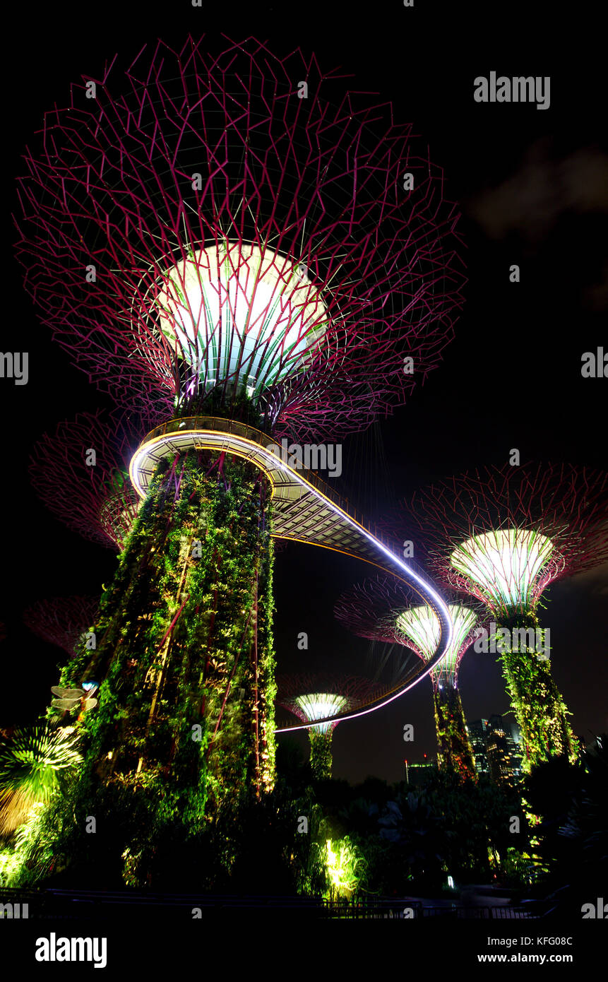 Supertree Grove at Gardens by the Bay in Singapore Stock Photo - Alamy