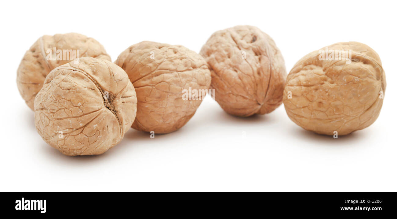 Walnut isolated over white background Stock Photo - Alamy
