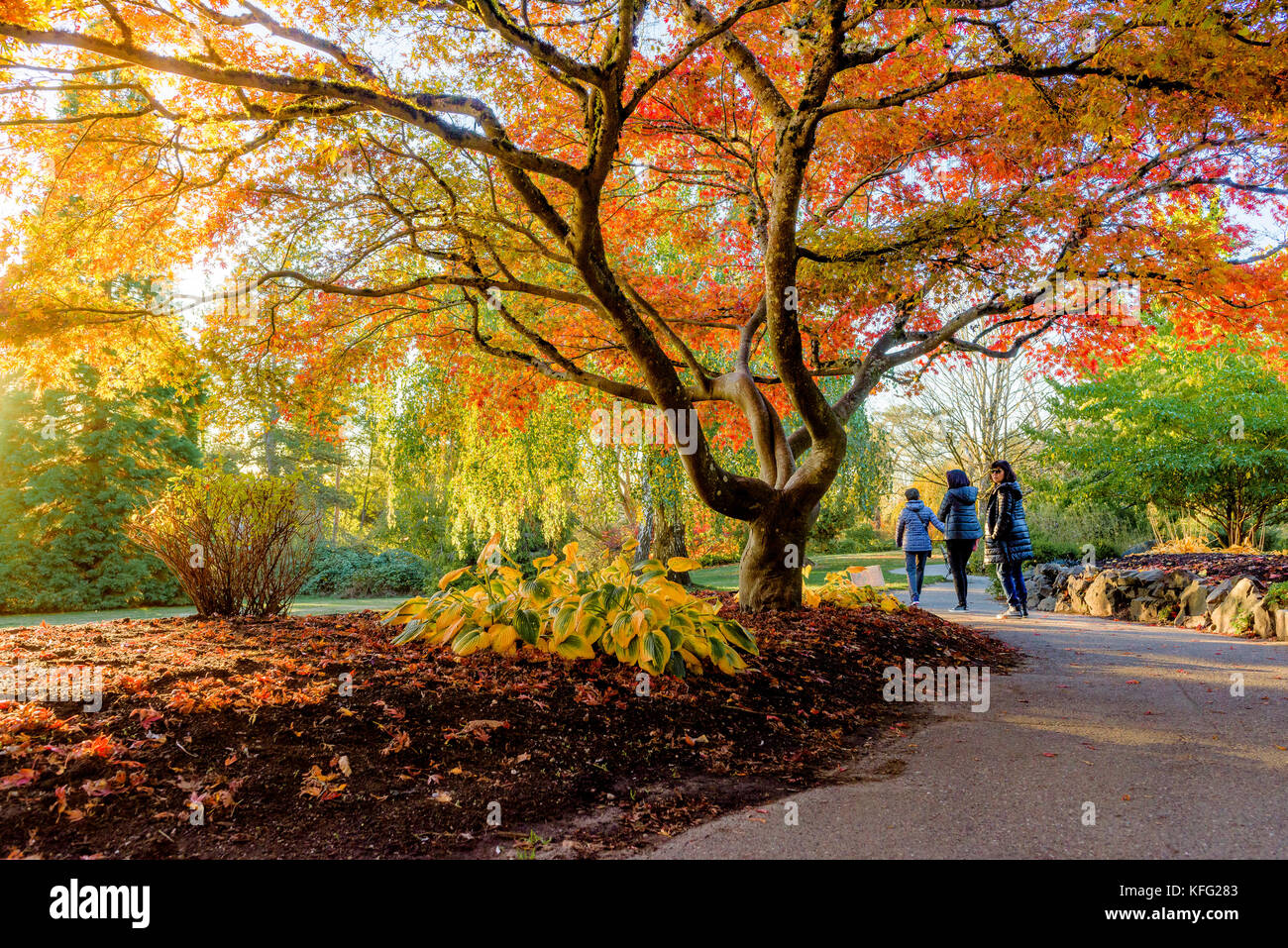 Elizabeth park hi-res stock photography and images - Alamy