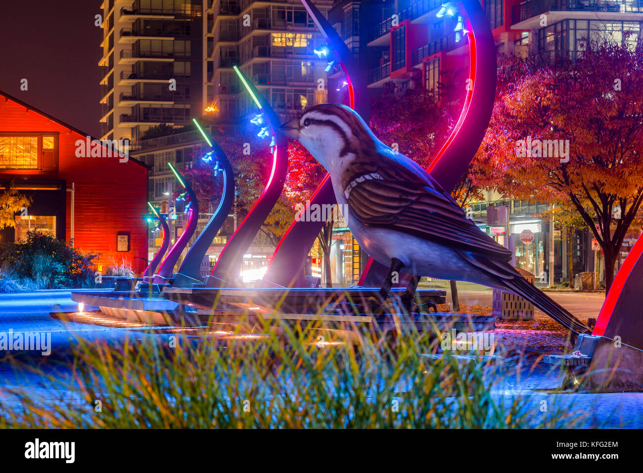 Giant sparrow hi-res stock photography and images - Alamy