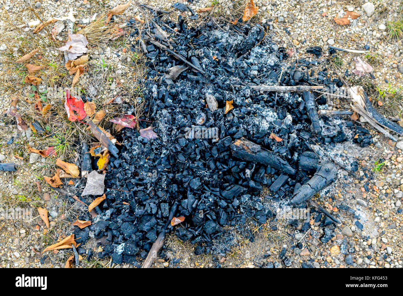 Ash and coals from the fire in Mont Tremblant National Park in fall ...