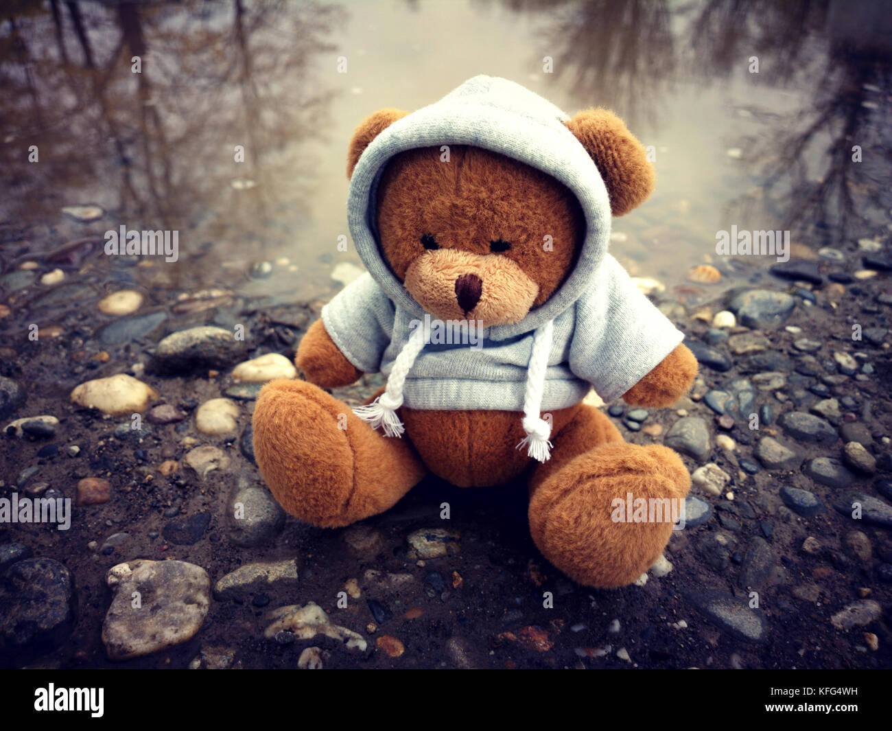 Teddy in nature Stock Photo - Alamy