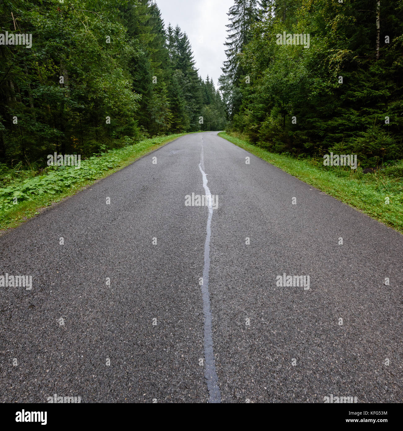 empty asphalt road in the countryside with trees in surrounding ...