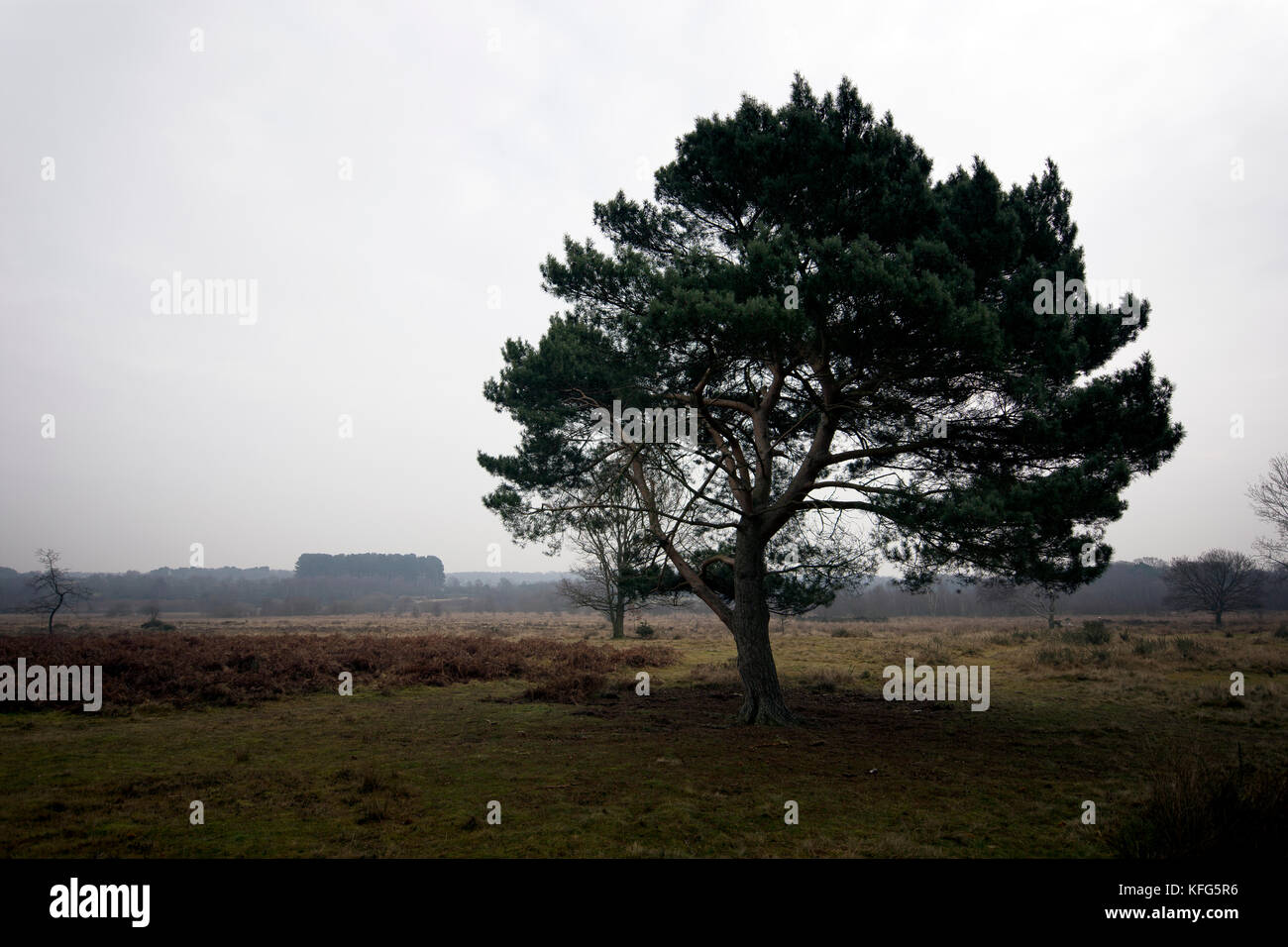 Sutton coldfield park birmingham hi-res stock photography and images ...