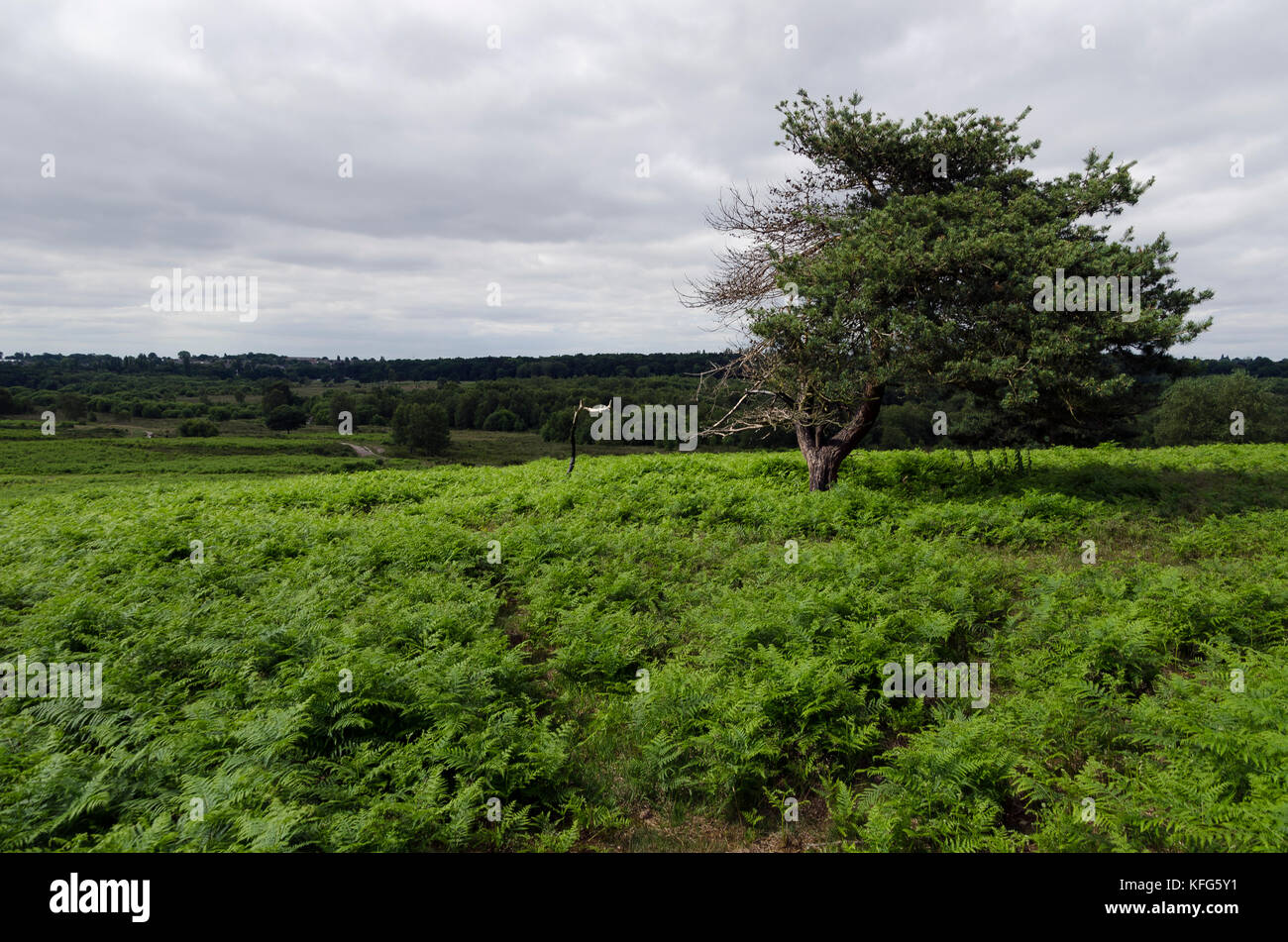 Mud streaks hi-res stock photography and images - Alamy