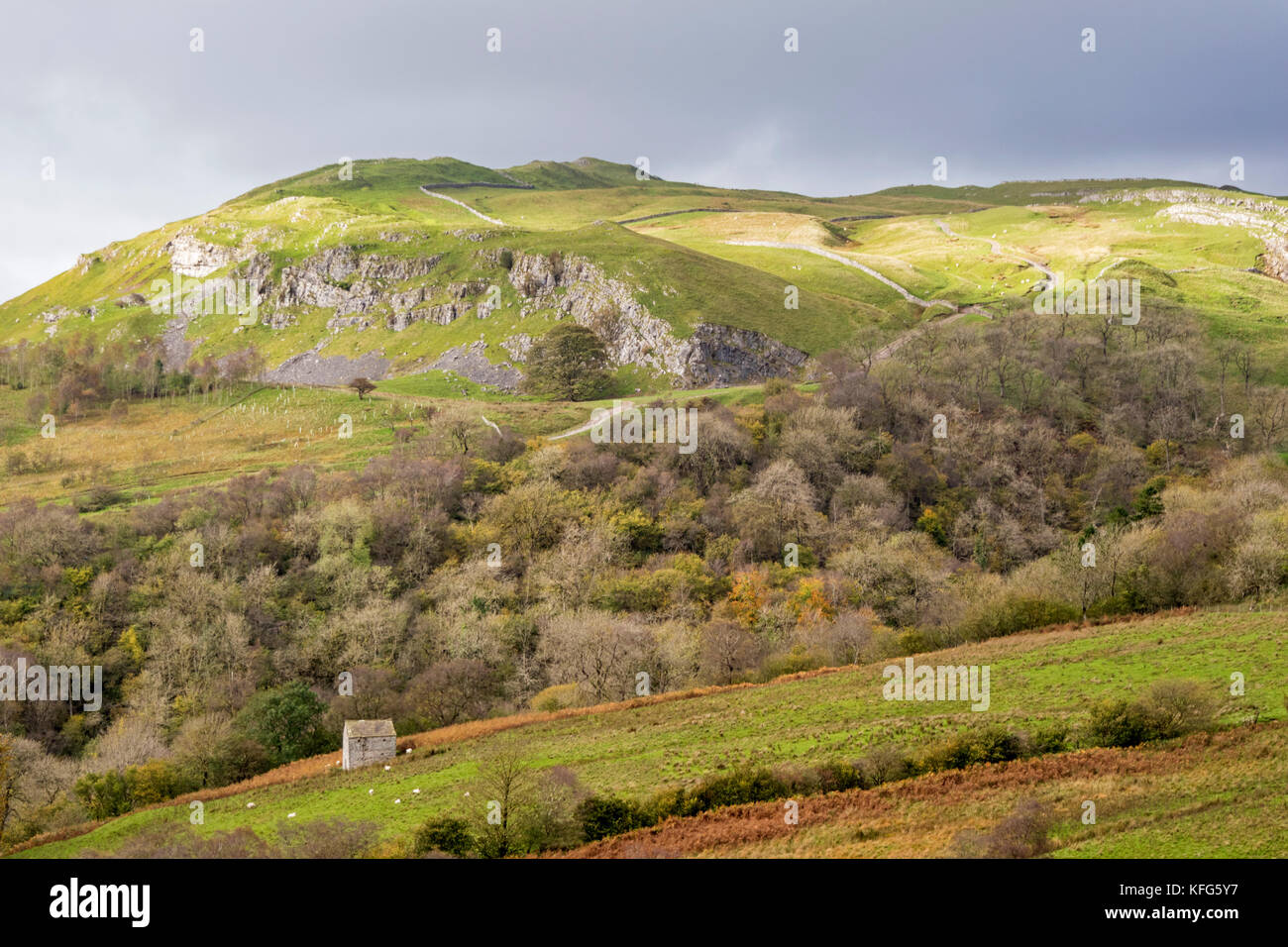 Mount Ida above Swindale wood near Brough, Northern Pennines, England ...