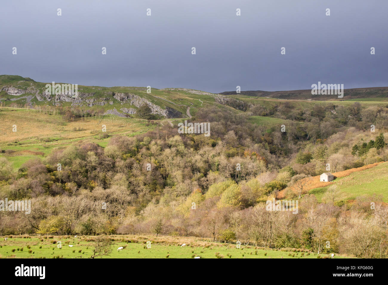 Ida woods hi-res stock photography and images - Alamy