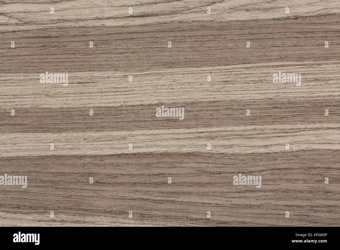 American walnut wood design texture. Natural background closeup Stock ...