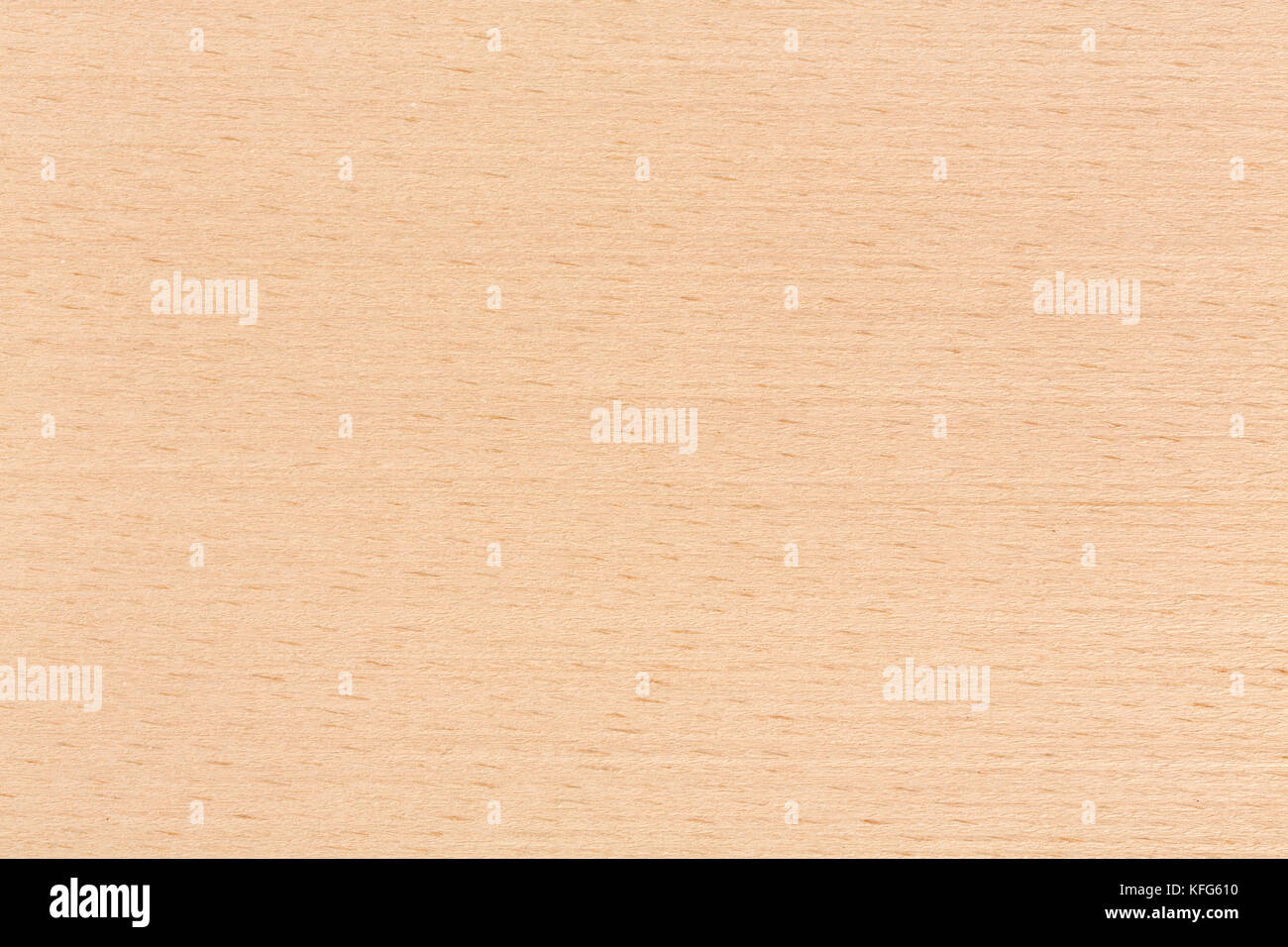 Beech wood texture hi-res stock photography and images - Alamy