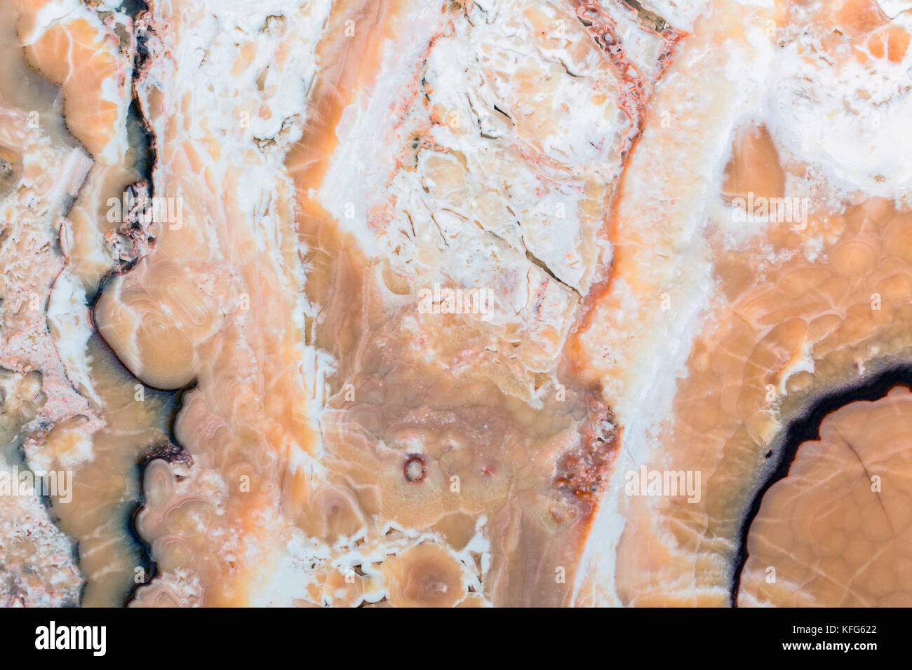 Unique texture hi-res stock photography and images - Alamy