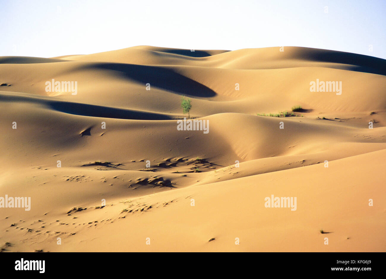 Massive red sand dunes at Saudi Aramco's Shaybah field, a major gas and ...