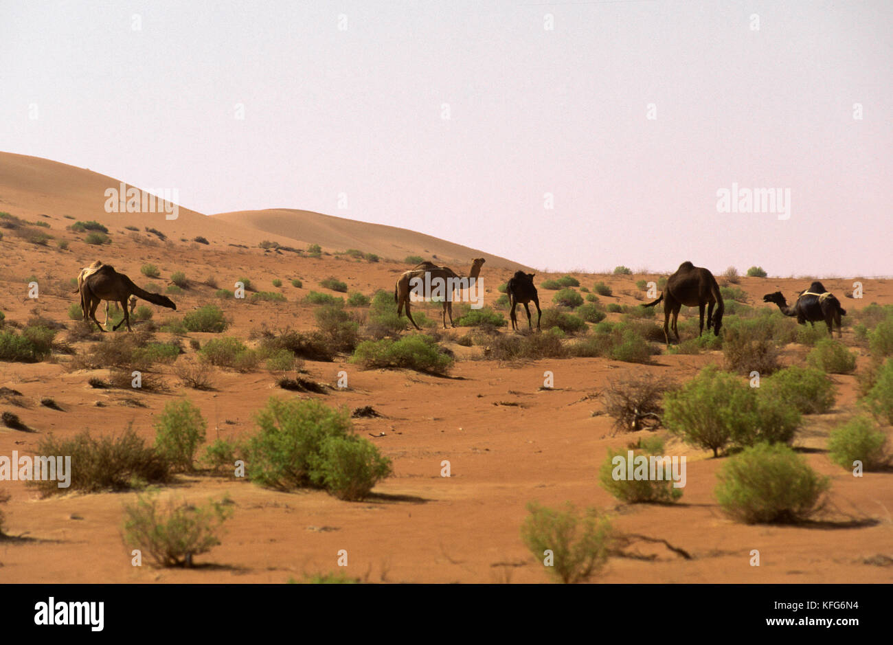 Aerial rub al khali hi-res stock photography and images - Alamy